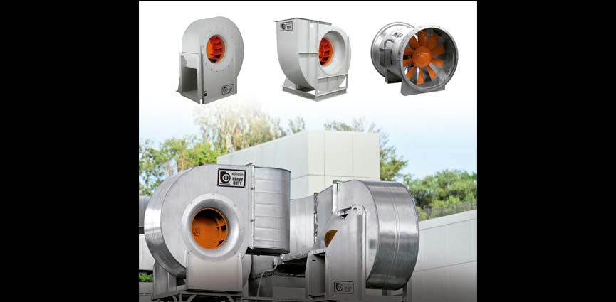 Un paso de gigante para SODECA GROUP - PEDECA Press