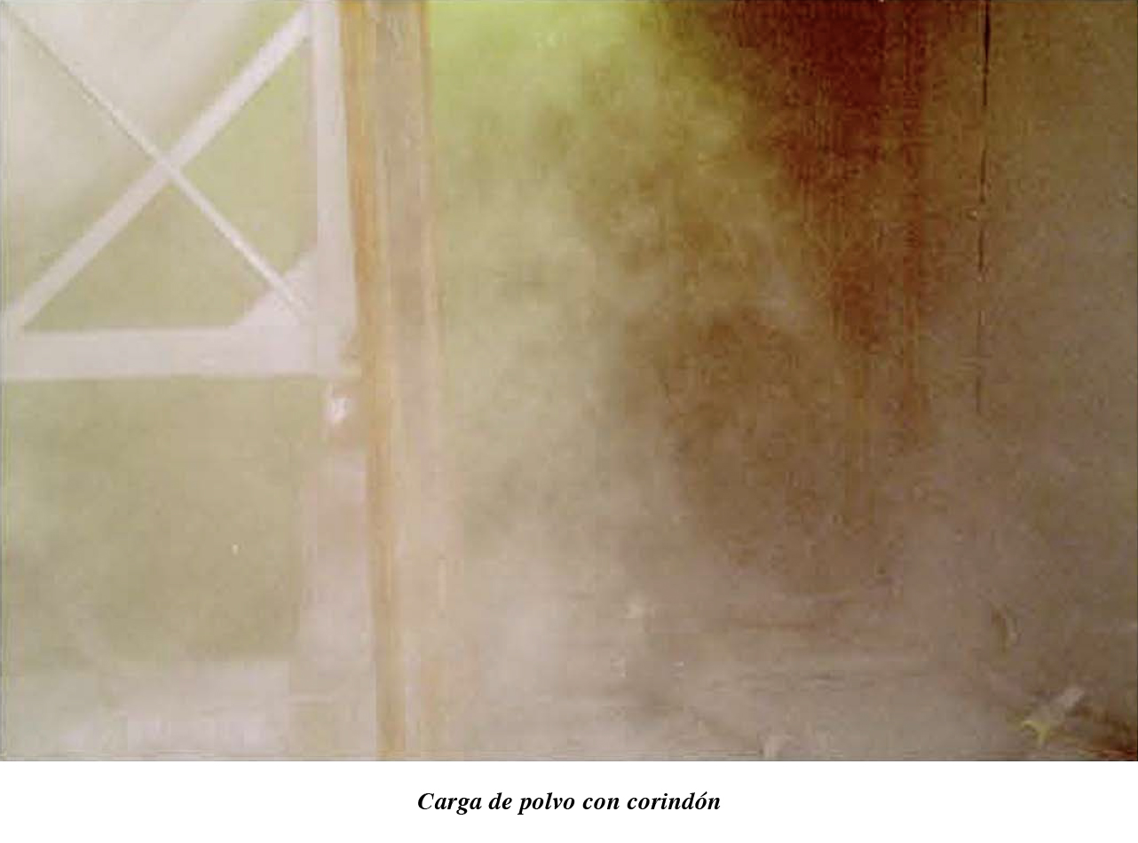 GRITTAL, la alternativa económica a abrasivos minerales como el ...